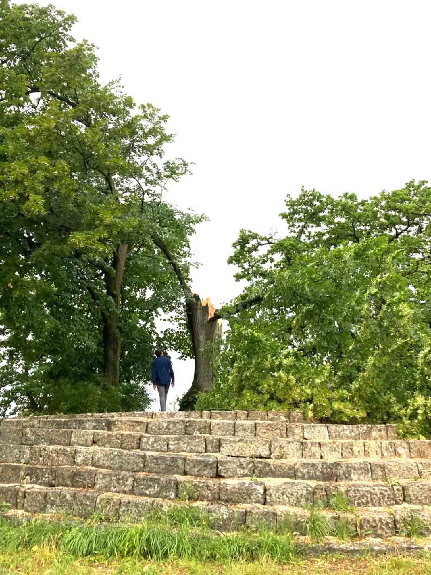 Goetheanum - The Felsli Speaking