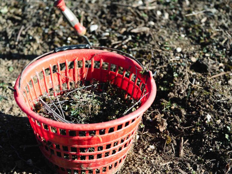 Agriculture - Biodynamic Conversations