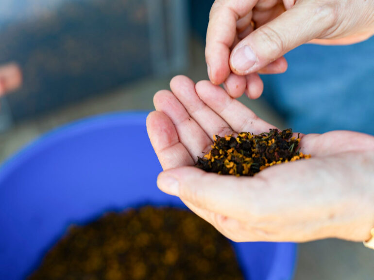 History - The Biodynamic Movement during the Nazi Regime