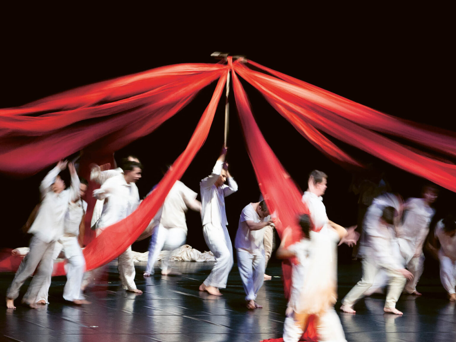 Column - The Human Dance Project